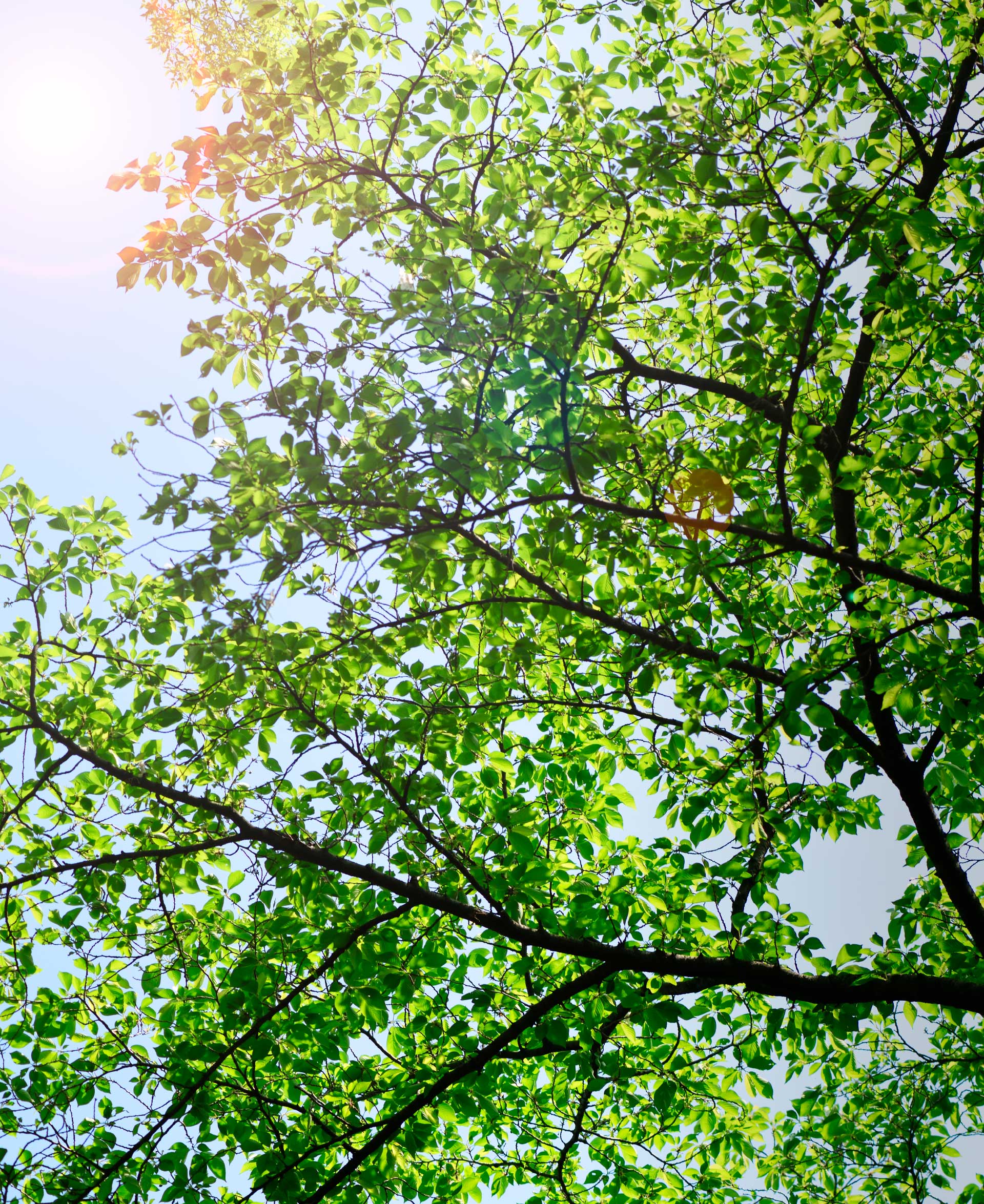 《公式》ジェイグラン羽衣｜JR西日本不動産開発の新築分譲マンション｜南海本線「羽衣」駅徒歩7分,羽衣線「東羽衣」駅徒歩7分｜大阪府高石市羽衣